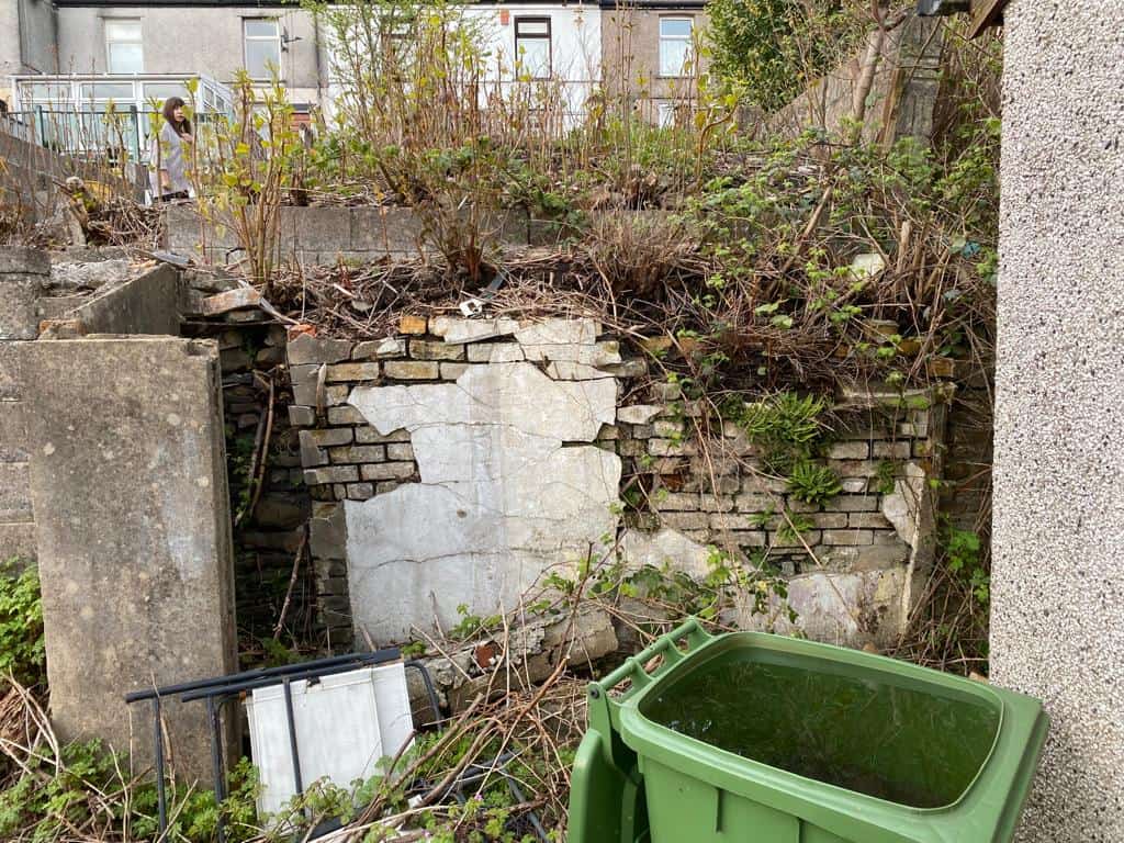 Japanese Knotweed Removal Costs : All You Need To Know